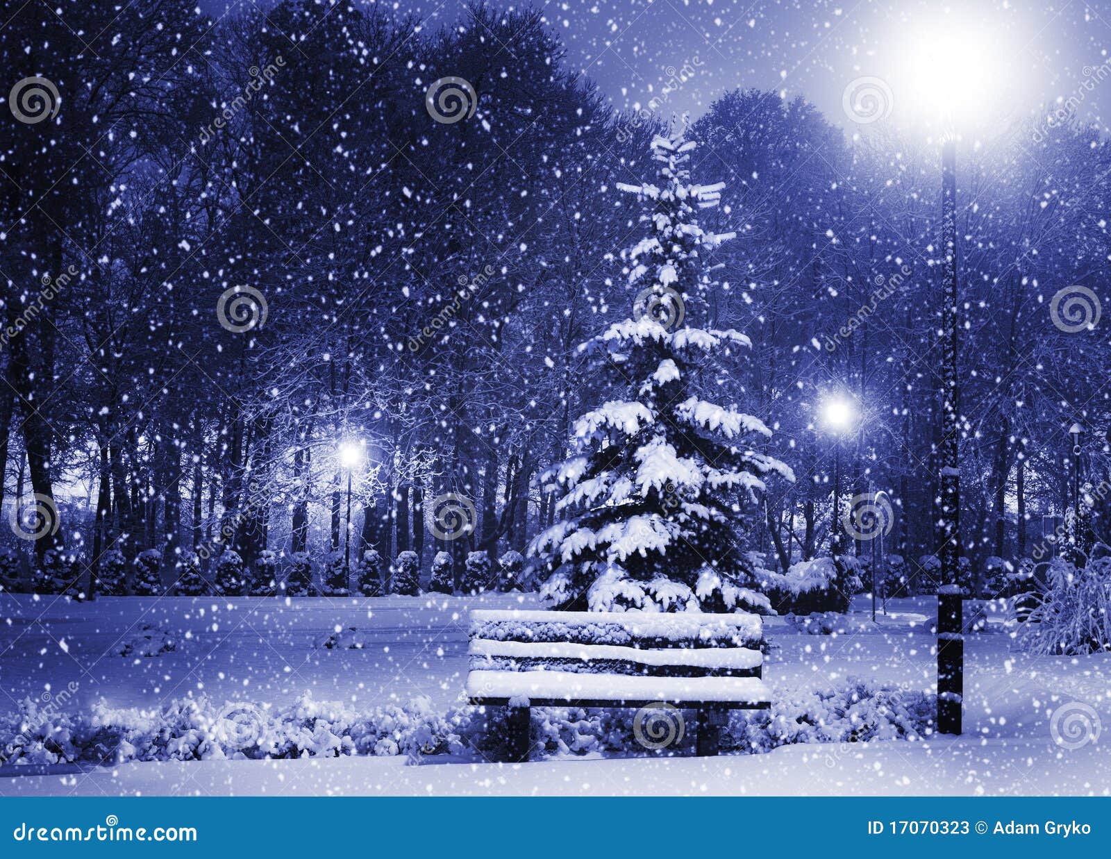 Bench, Christmastree and Lantern Stock Image - Image of christmas ...