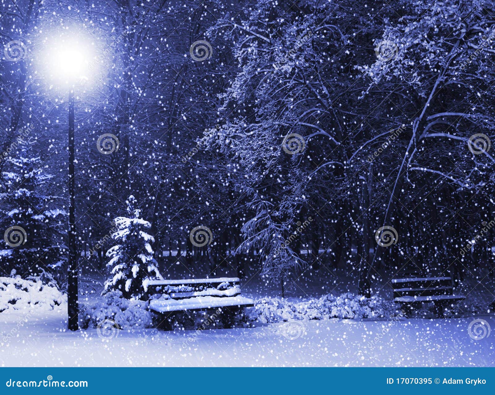Bench, Christmastree And Lantern Royalty Free Stock Photo - Image: 17070395