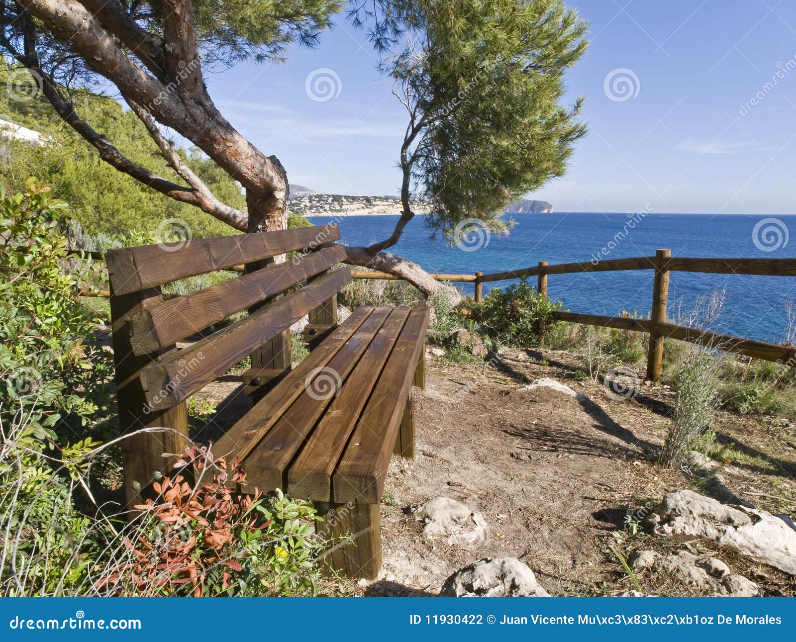 Bench on a Cliff stock photo. Image of leisure, tree - 11930422