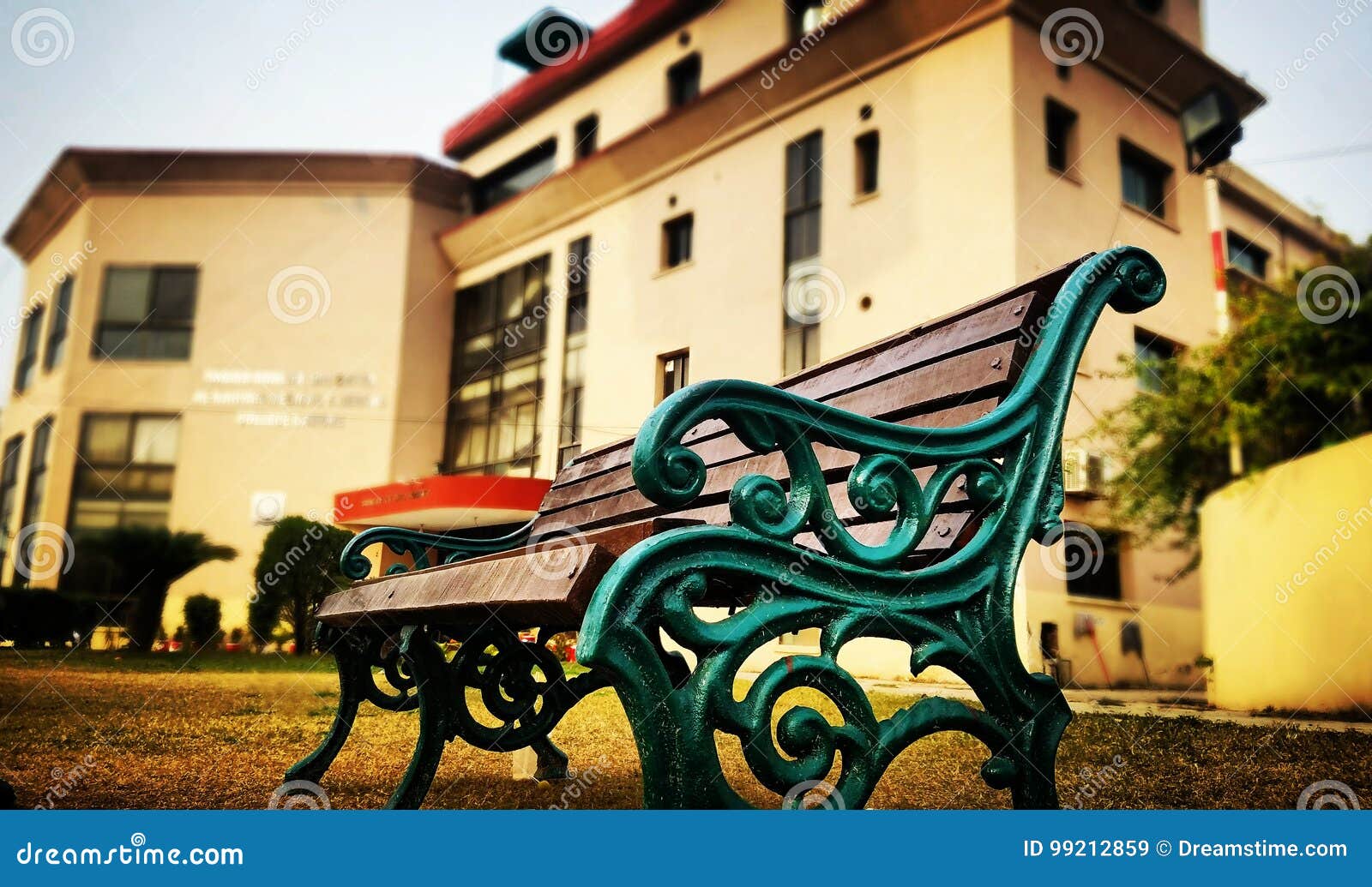 Bench stock image. Image of bench, life, student, college - 99212859