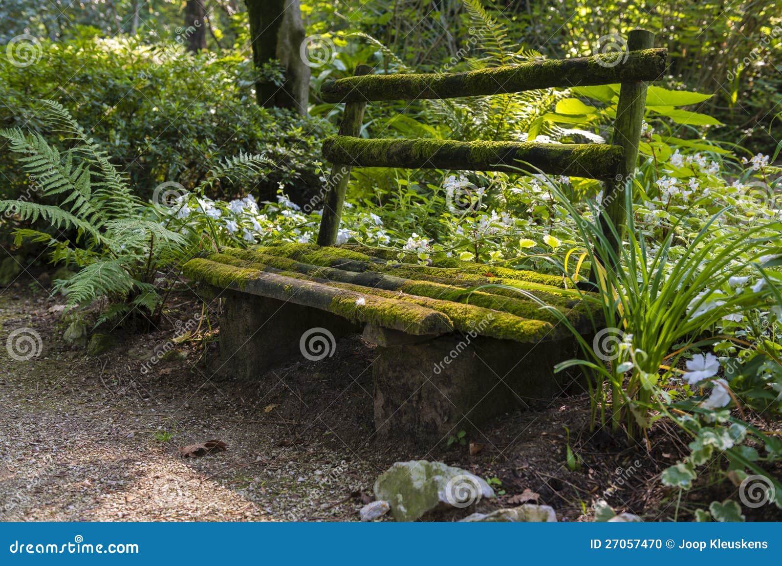 Bench covered with moss stock photo. Image of outdoor - 27057470