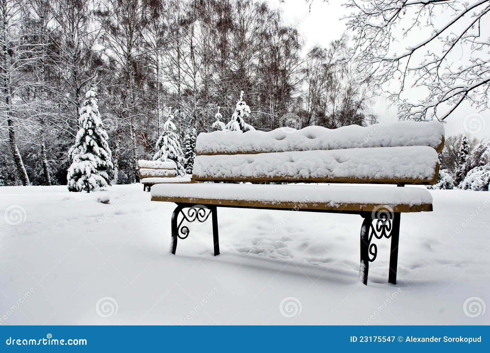 Bench covered with snow stock image. Image of christmas - 23175547