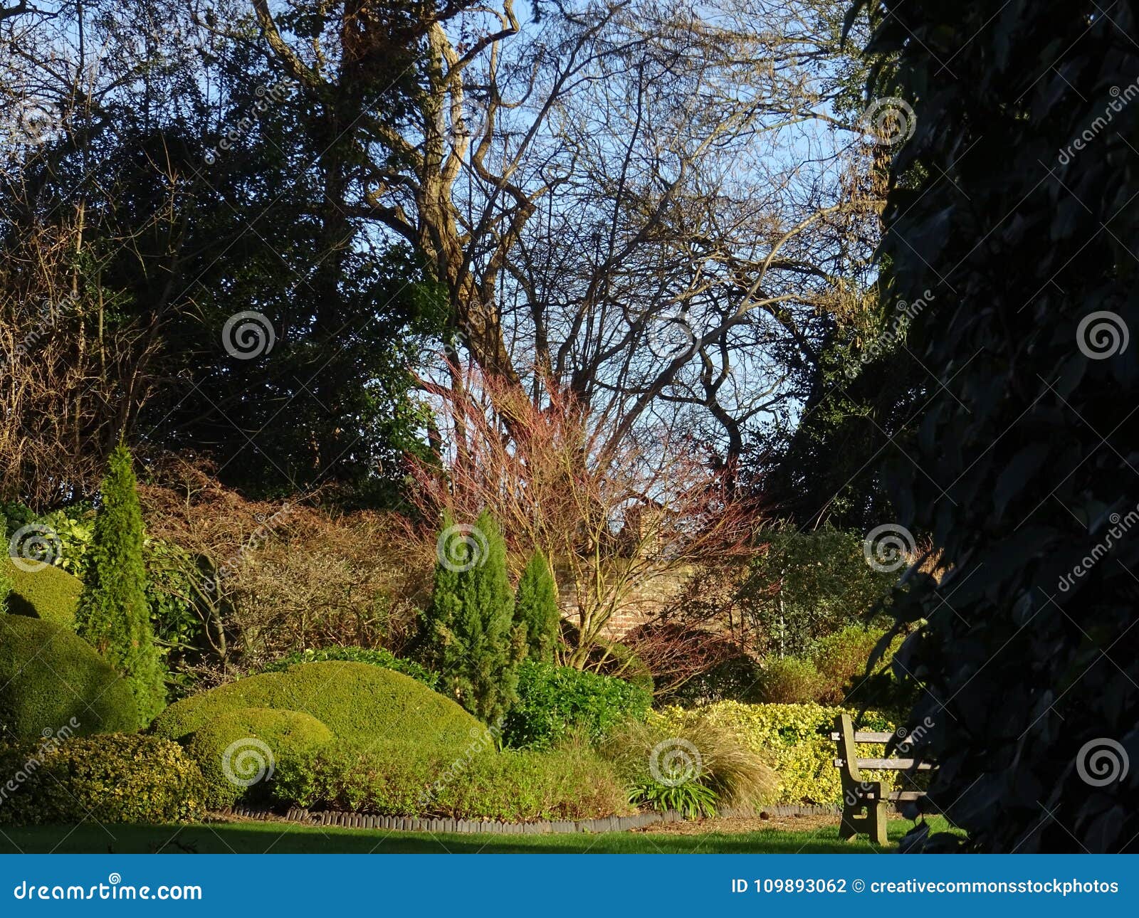 Bench, Daylight, Environment Picture. Image: 109893062