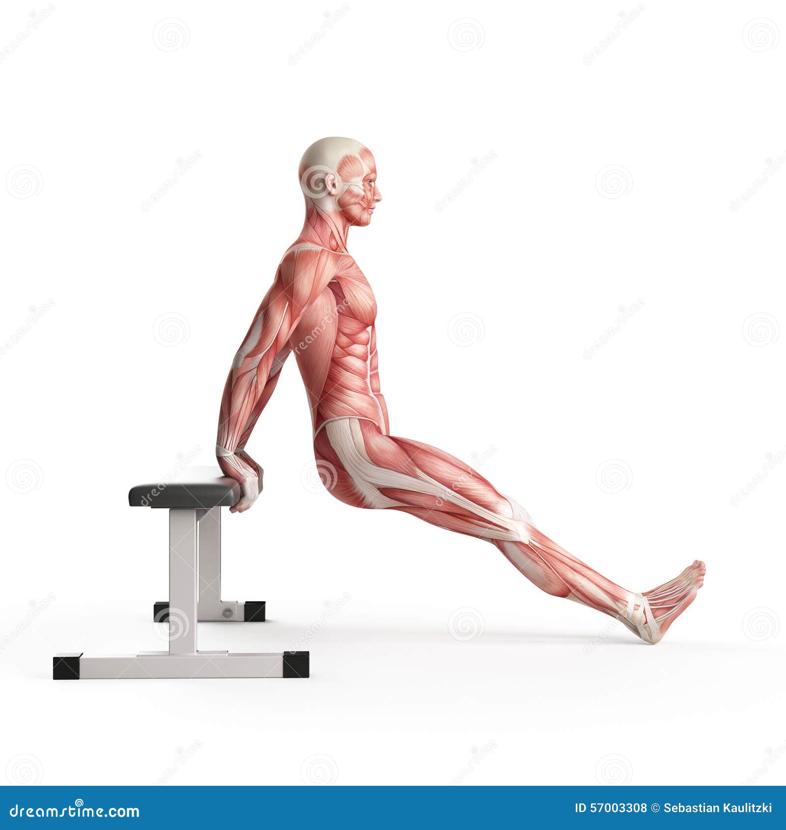 Dip Cartoons, Illustrations & Vector Stock Images - 17168 Pictures to ...