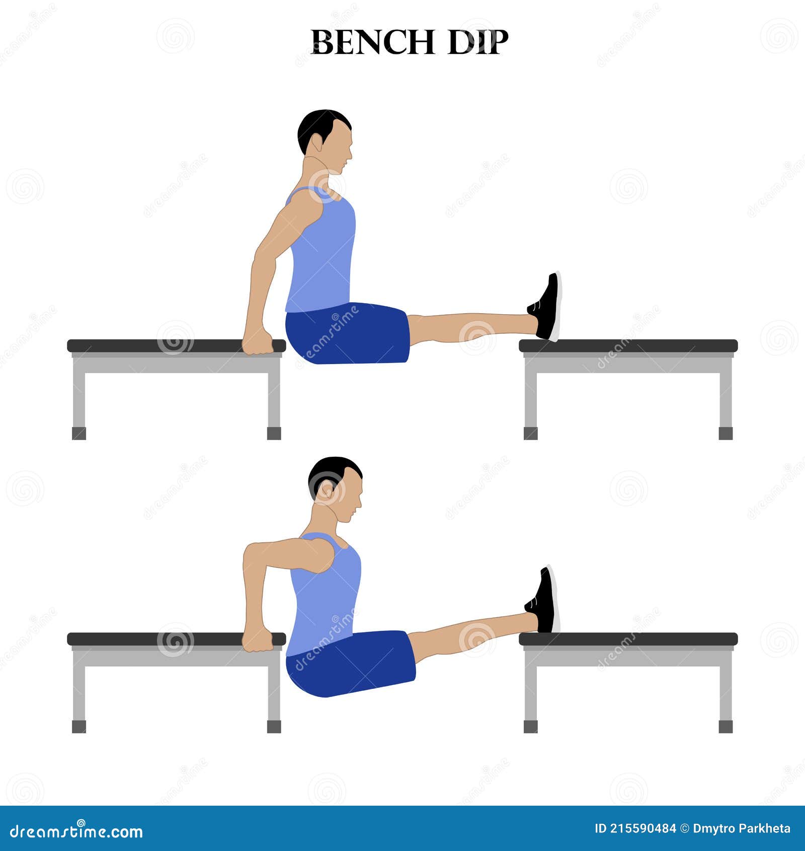Bench Dip Exercise Strength Workout Vector Illustration Stock Vector ...