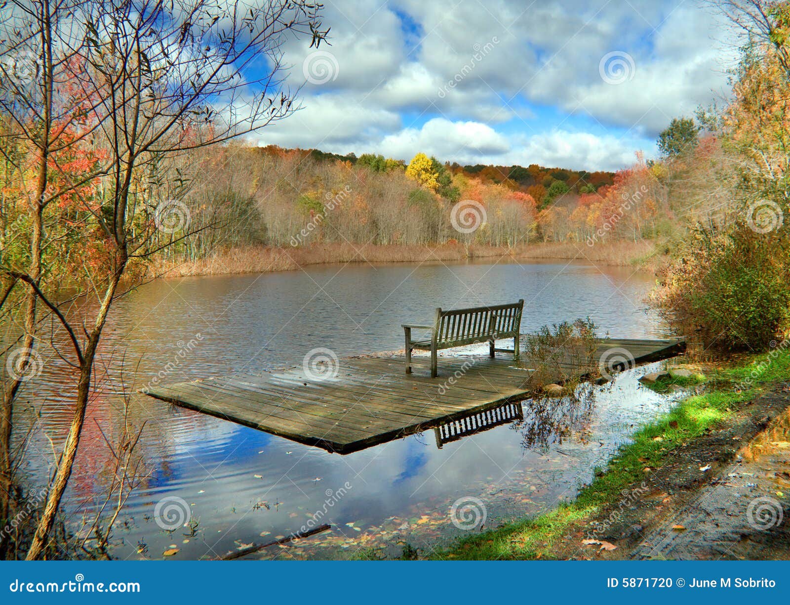 Bench on Dock stock photo. Image of trees, park, recreation - 5871720