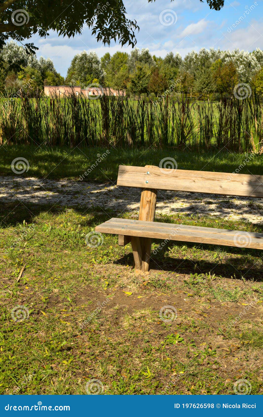 Bench by the Edge of a Path Under Two Trees in the Countryside in ...