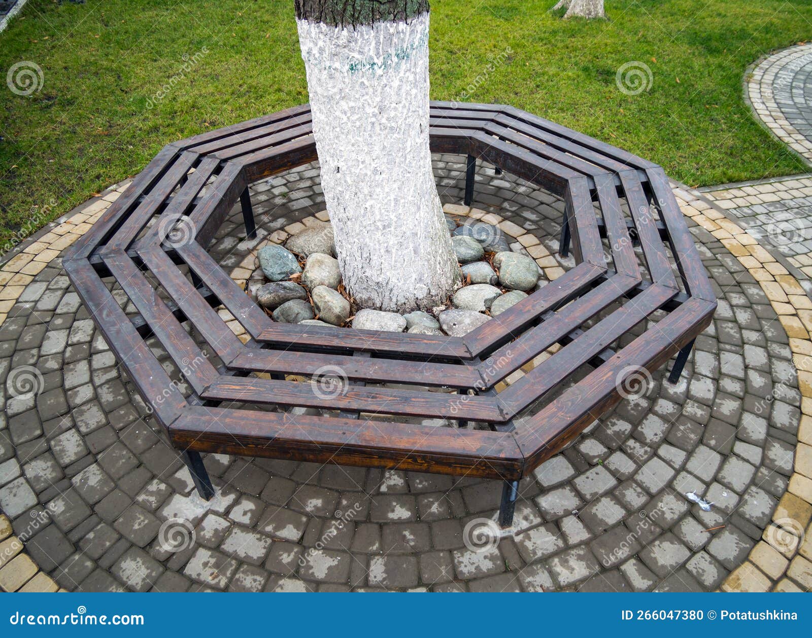 Bench Encircling a Tree Trunk Stock Photo - Image of fence, park: 266047380