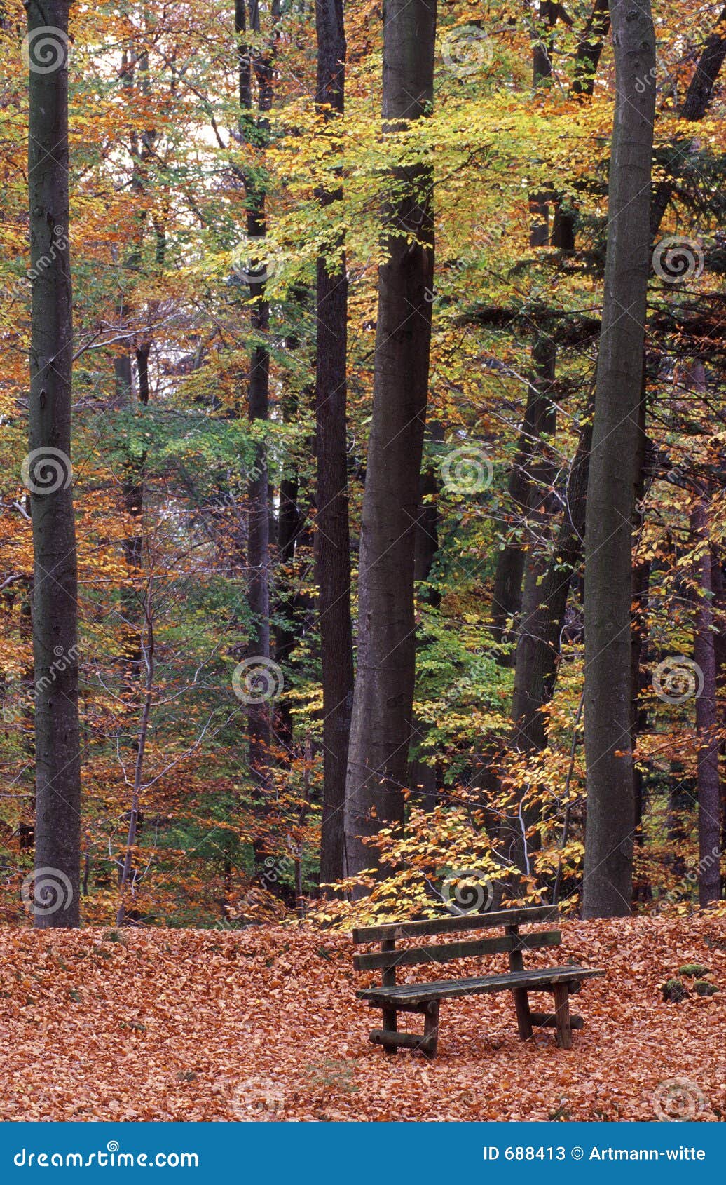 Bench in the fall stock image. Image of scenic, lonely - 688413
