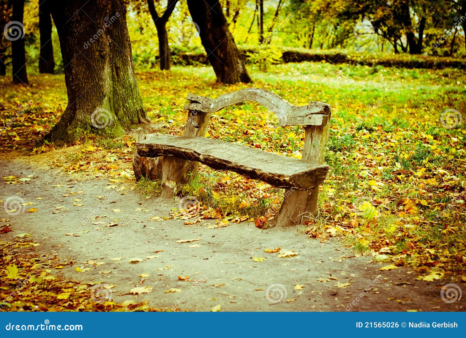Bench in the fall park stock photo. Image of forest, nature - 21565026