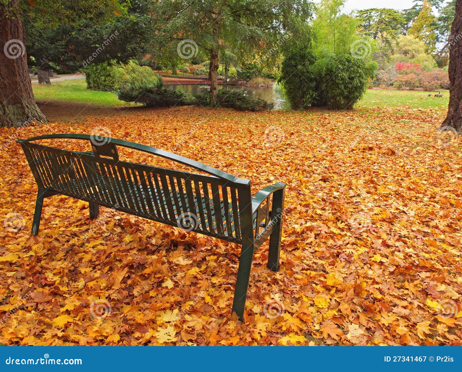 Bench in the fall park stock image. Image of foliage - 27341467