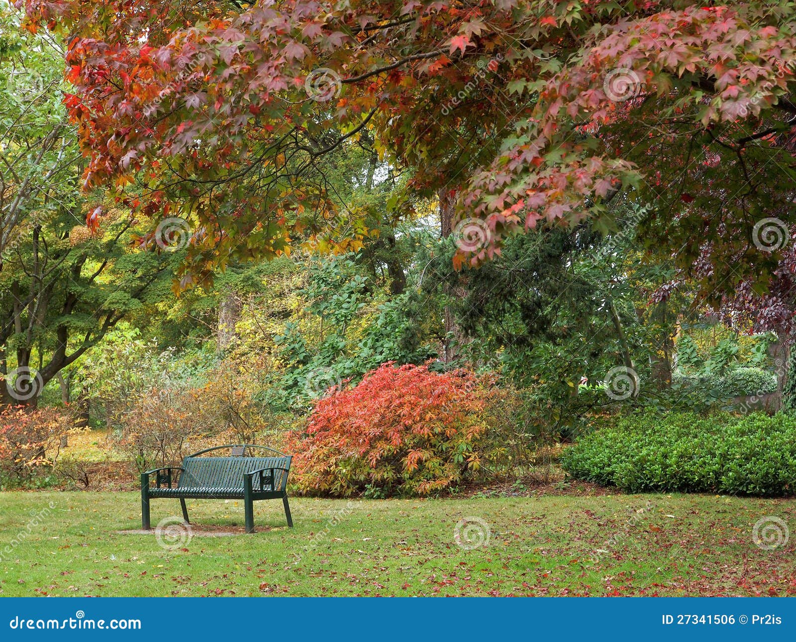 Bench in the fall park stock photo. Image of yellow, orange - 27341506