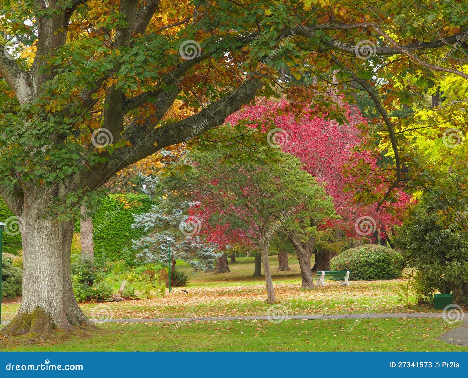 Bench in the fall park stock image. Image of vibrant - 27341573