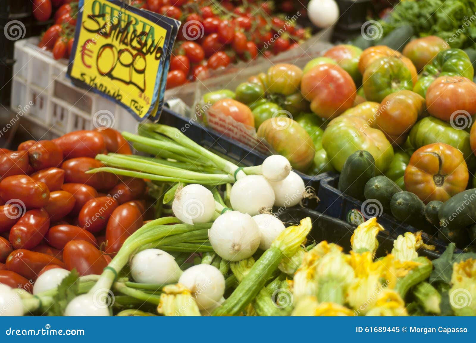 Bench at the Farmer Market stock image. Image of zucchini - 61689445
