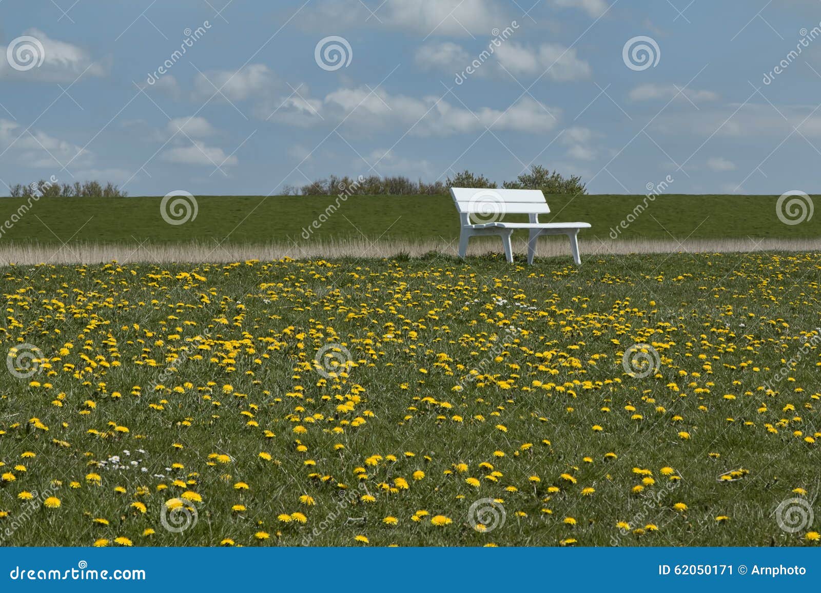 Bench in the Field stock image. Image of germany, color - 62050171