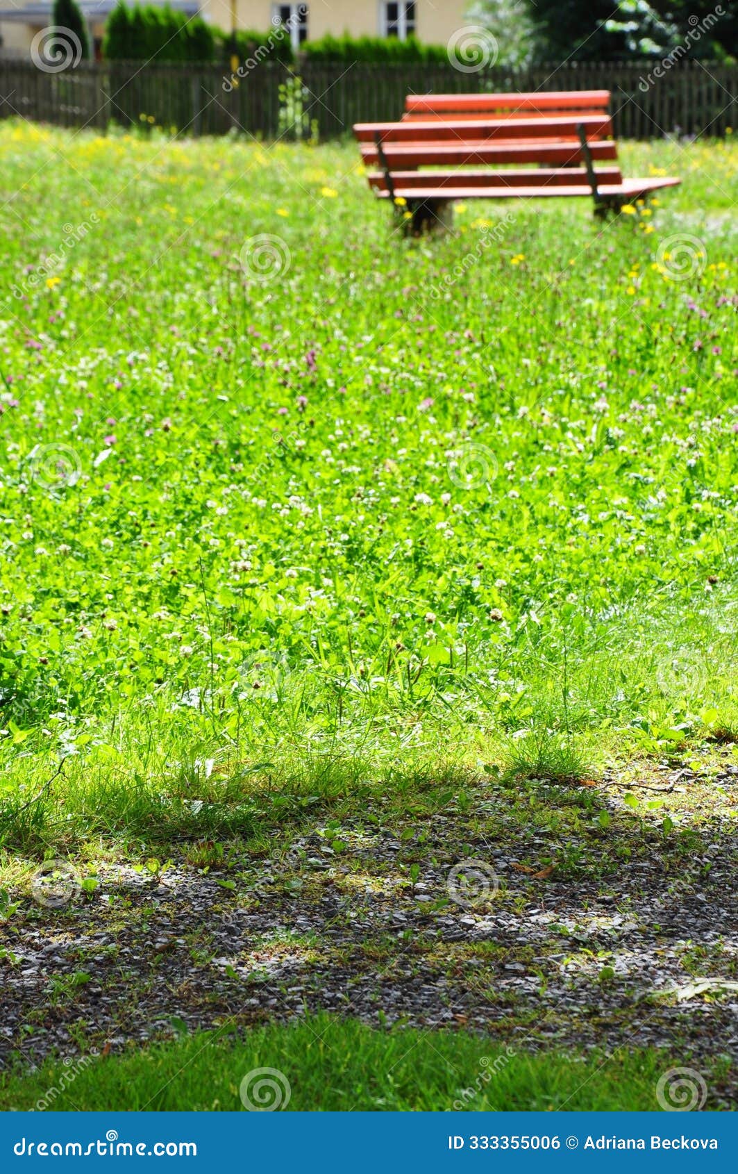Bench in field stock photo. Image of summer, lawn, vegetation - 333355006