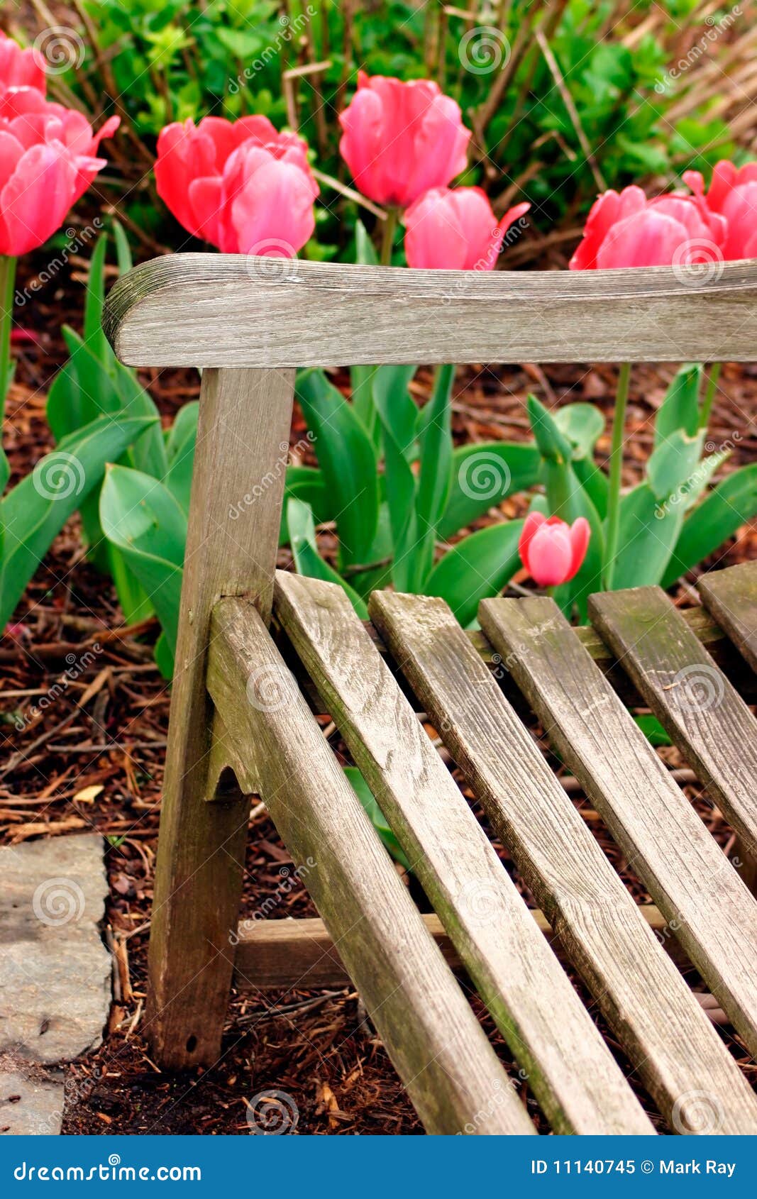 Bench with flowers stock image. Image of relax, flowers - 11140745