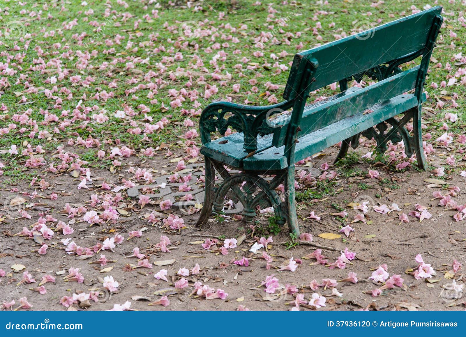 Bench with flowers stock photo. Image of outside, forest - 37936120