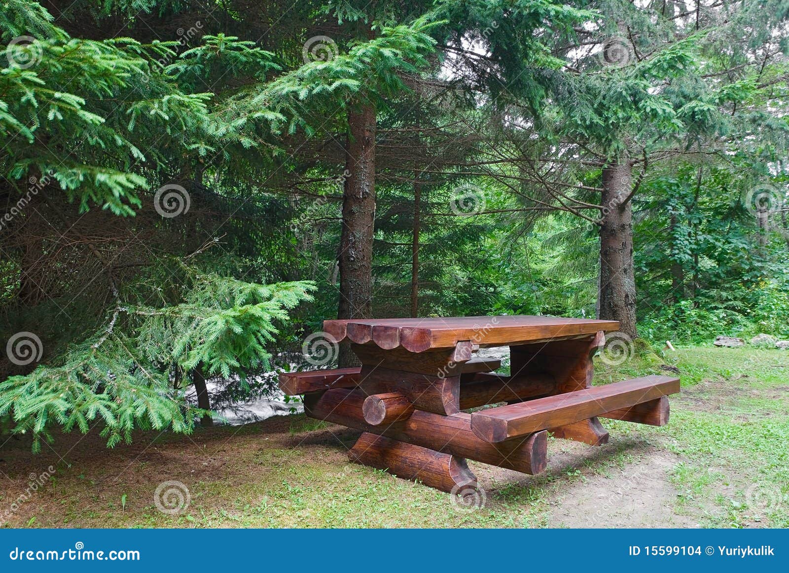 Bench in a forest stock photo. Image of summer, park - 15599104