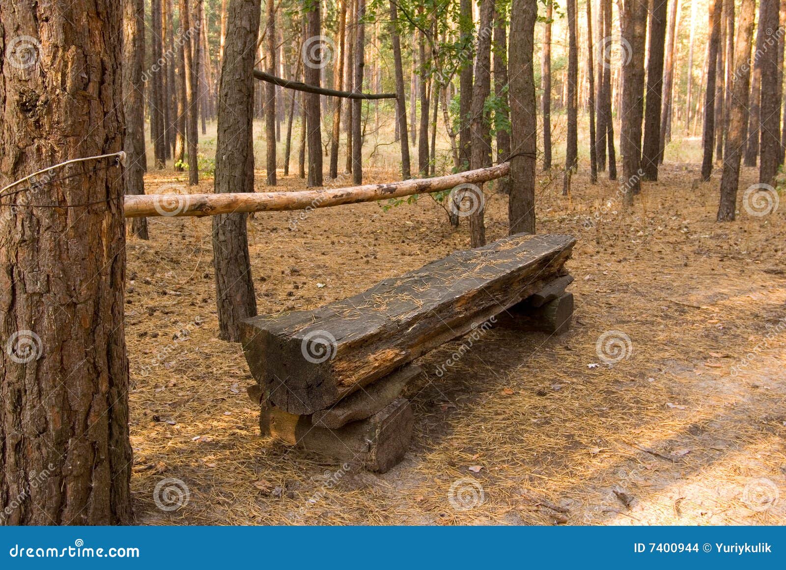 Bench in the forest stock photo. Image of journey, meditation - 7400944