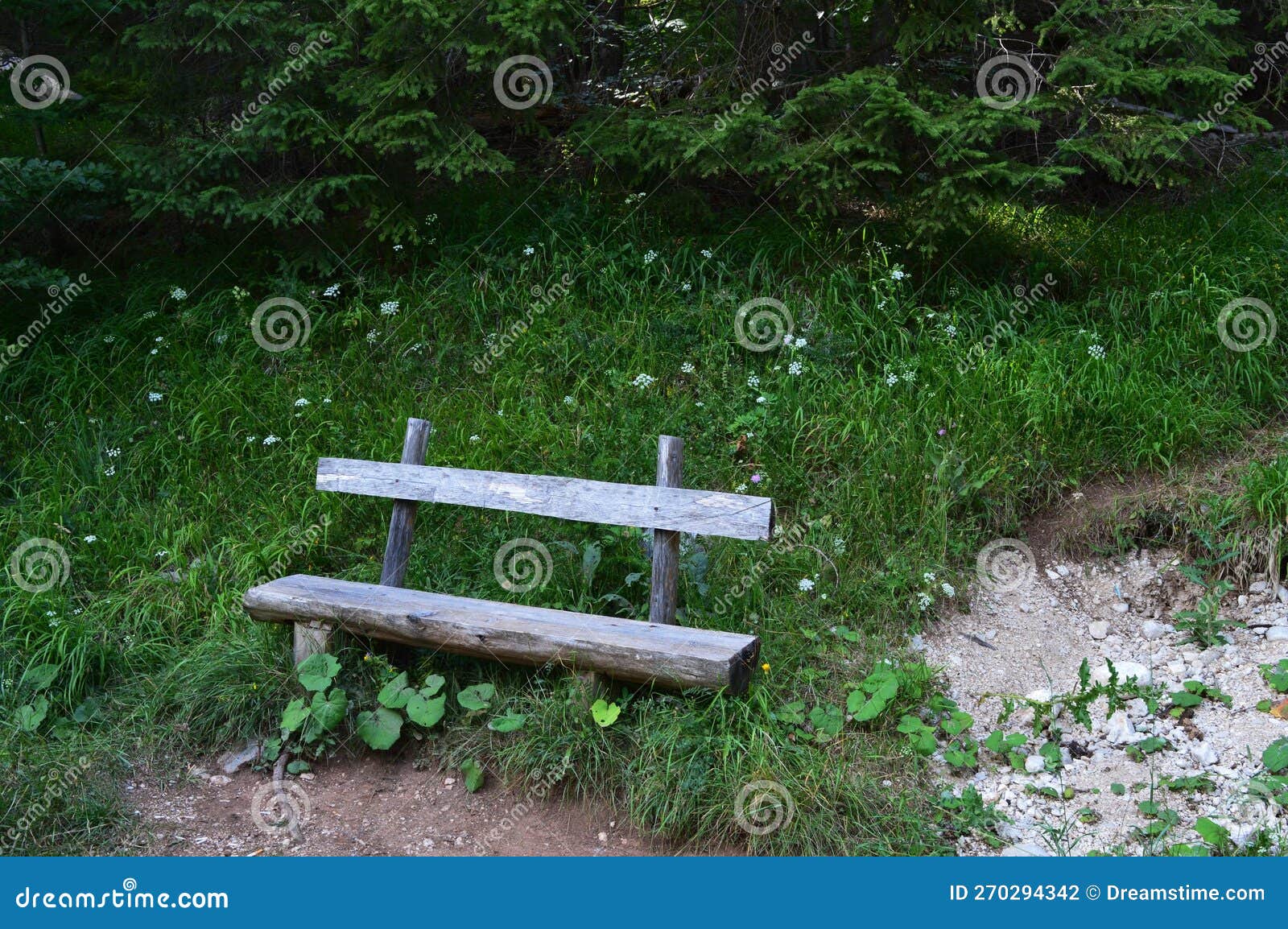 Bench in the Forest on the Mountain Stock Photo - Image of mountain ...