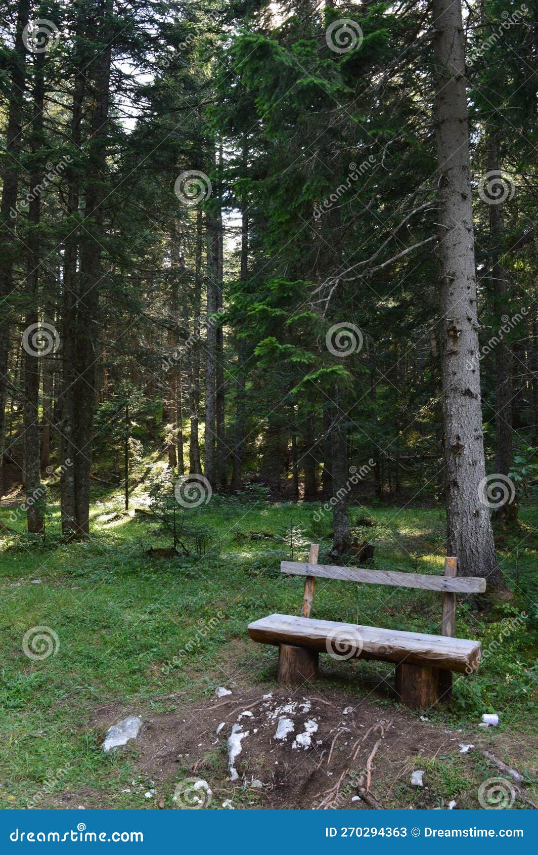 Bench in the Forest on the Mountain Stock Image - Image of meadow ...