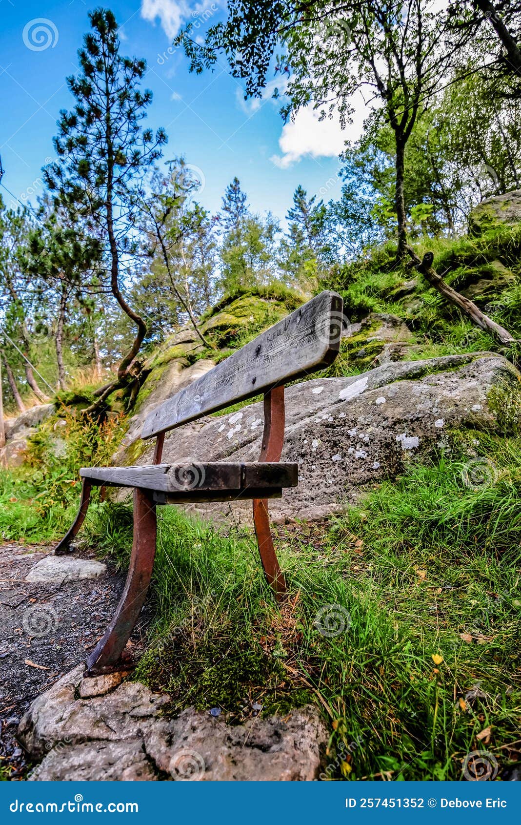 Bench in the Forest and on the Mountain Path Stock Photo - Image of ...