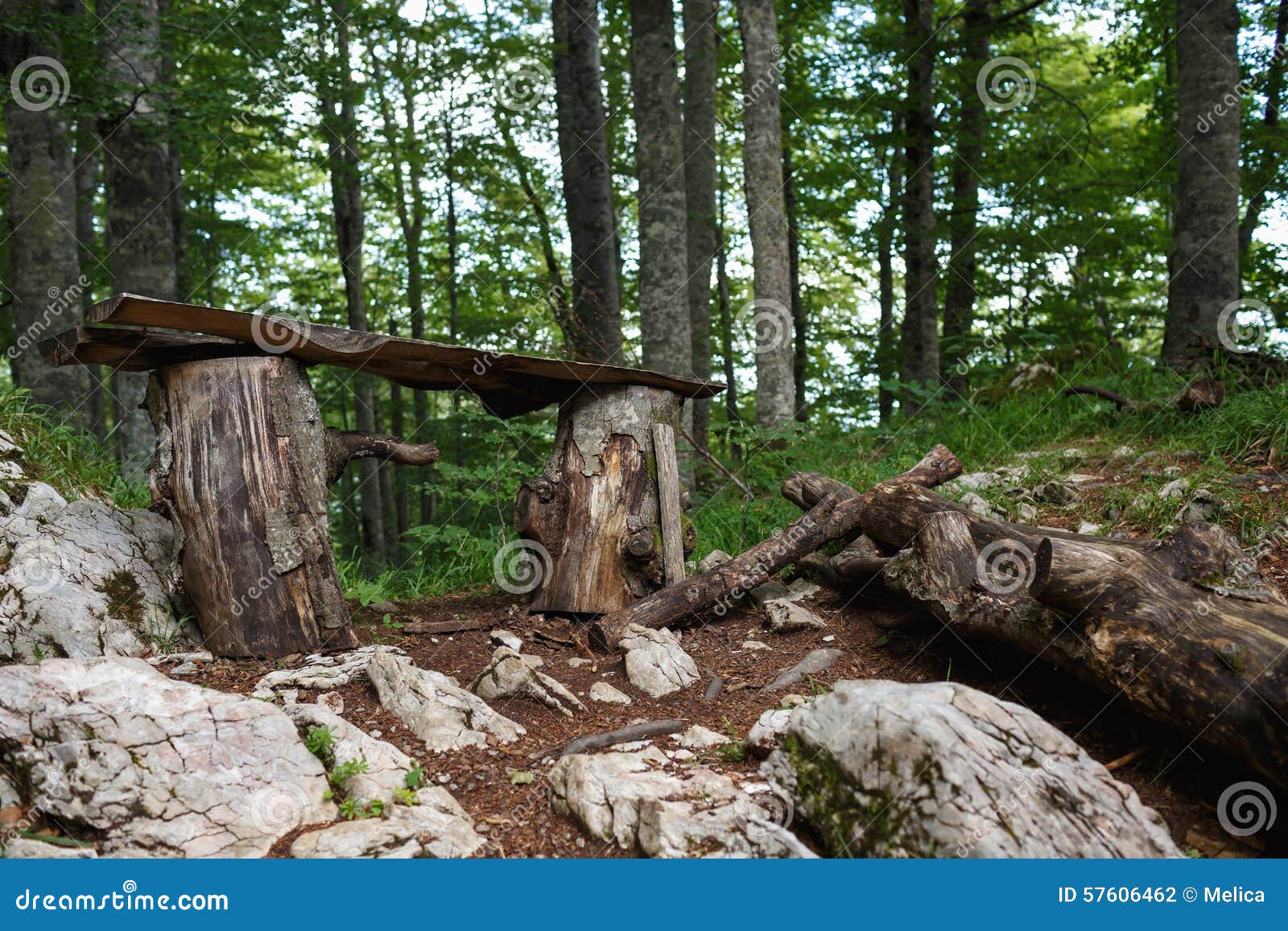 Bench in the forest stock photo. Image of handmade, outdoor - 57606462