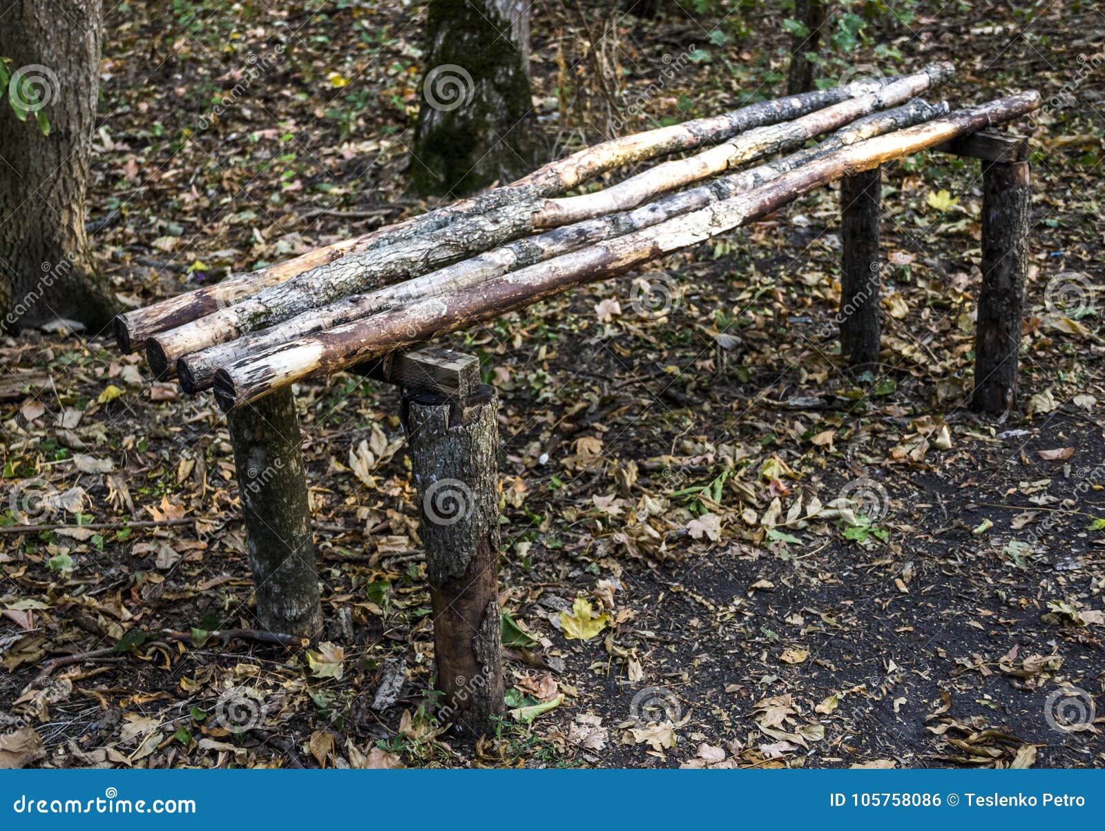 Bench in forest stock photo. Image of rest, natural - 105758086