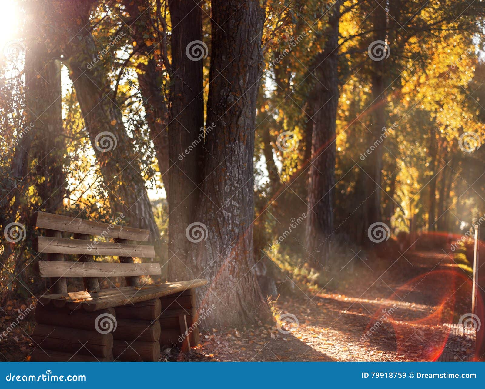 Bench in the forest stock image. Image of colorful, background - 79918759
