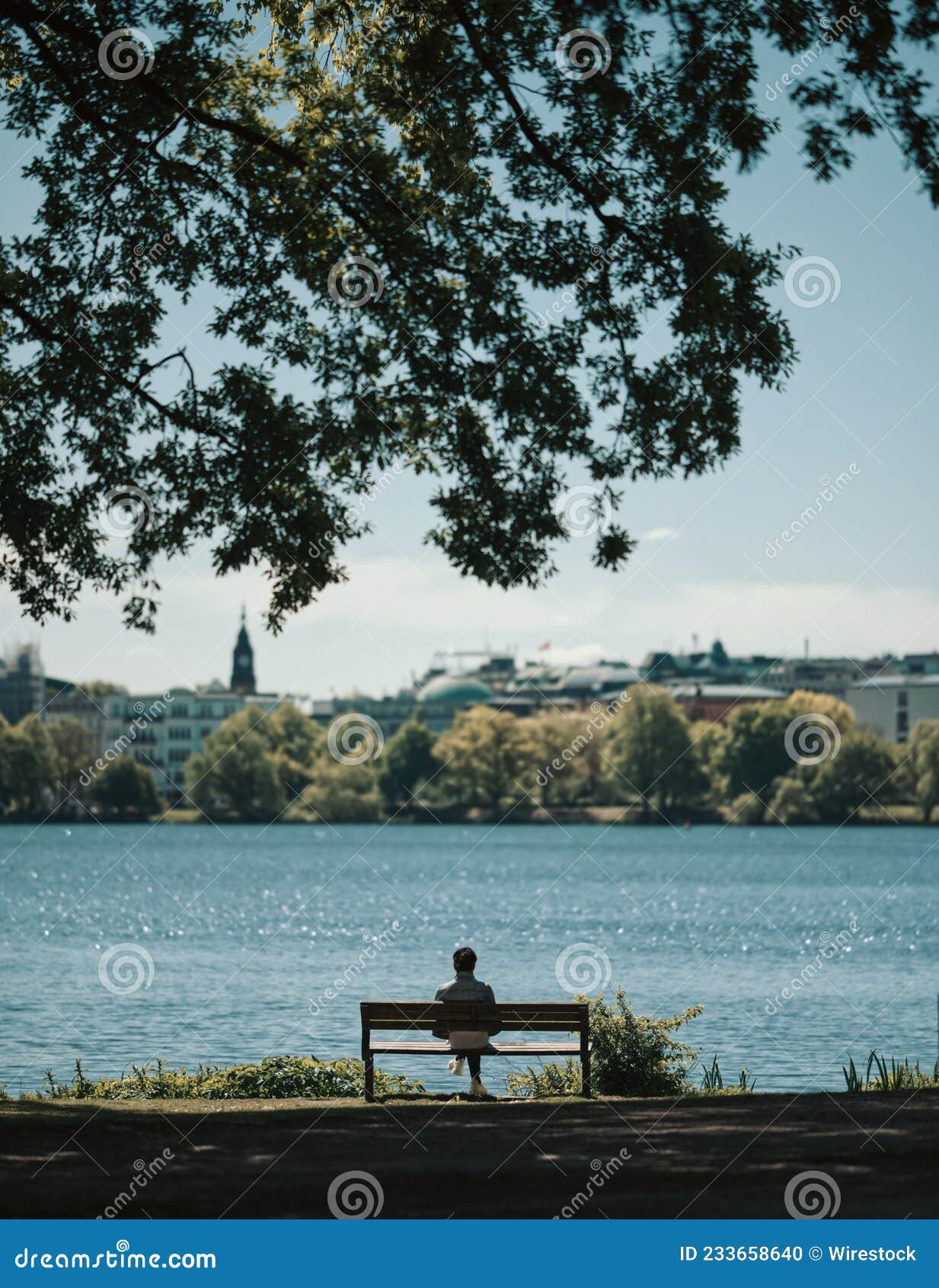 Bench in Front of a River from the Tree Branches Stock Photo - Image of ...