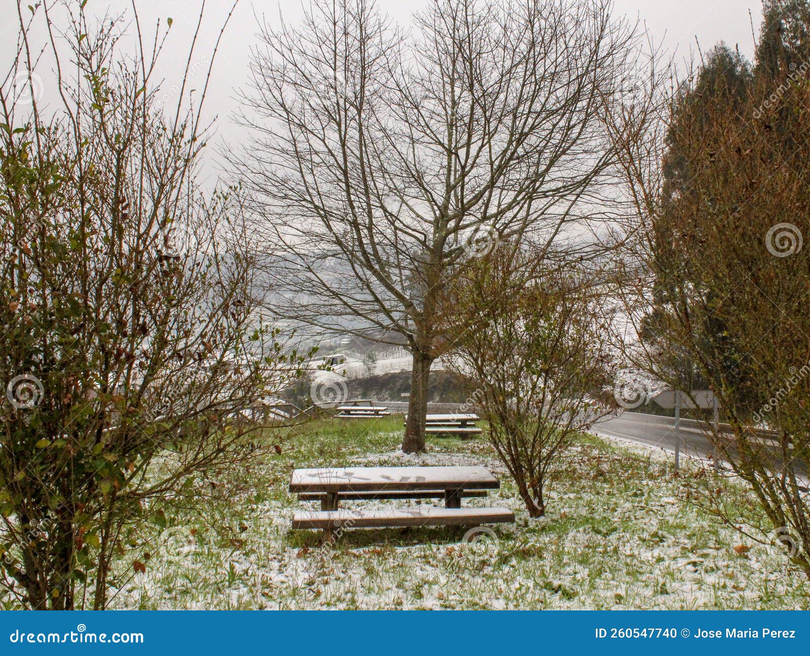 A Bench Full of Snow in a Park Stock Photo - Image of nature, silence ...