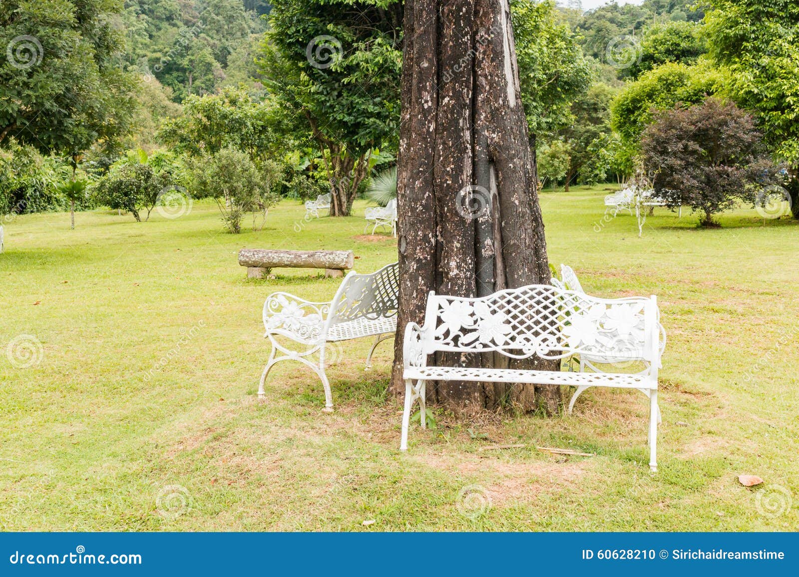 Bench in garden background stock photo. Image of garden - 60628210