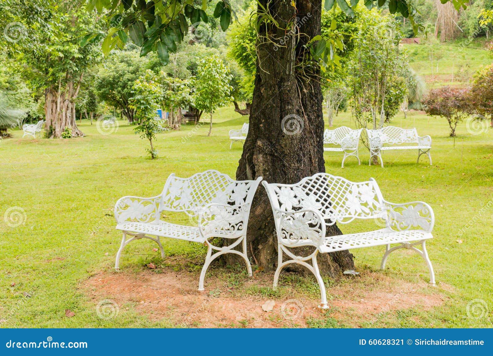 Bench in garden background stock image. Image of lush - 60628321
