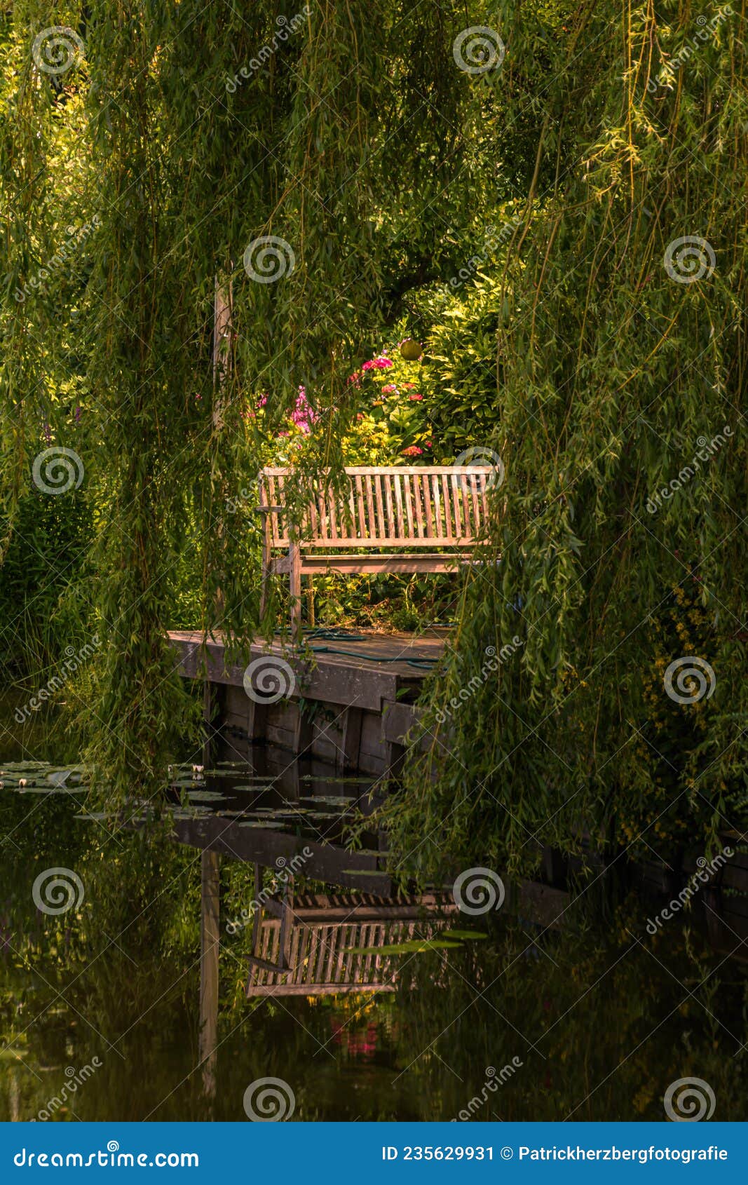 Bench in Garden on the Waterfront Stock Image - Image of bloem ...