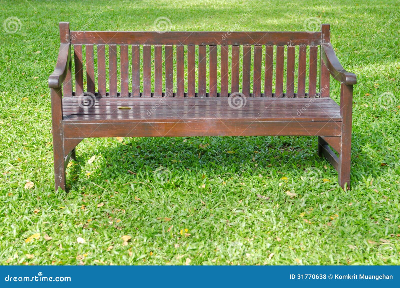 Bench on green grass stock photo. Image of bench, nature - 31770638