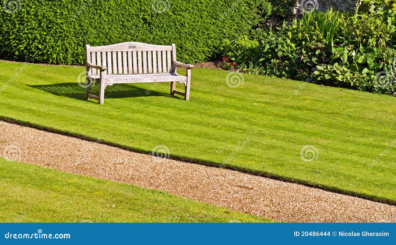 Bench on a green lawn stock photo. Image of frontyard - 20486444