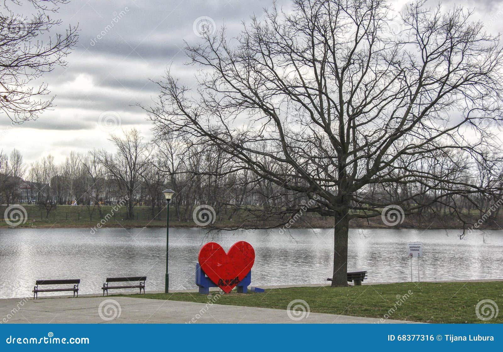 Bench heart stock photo. Image of decor, beautiful, background - 68377316