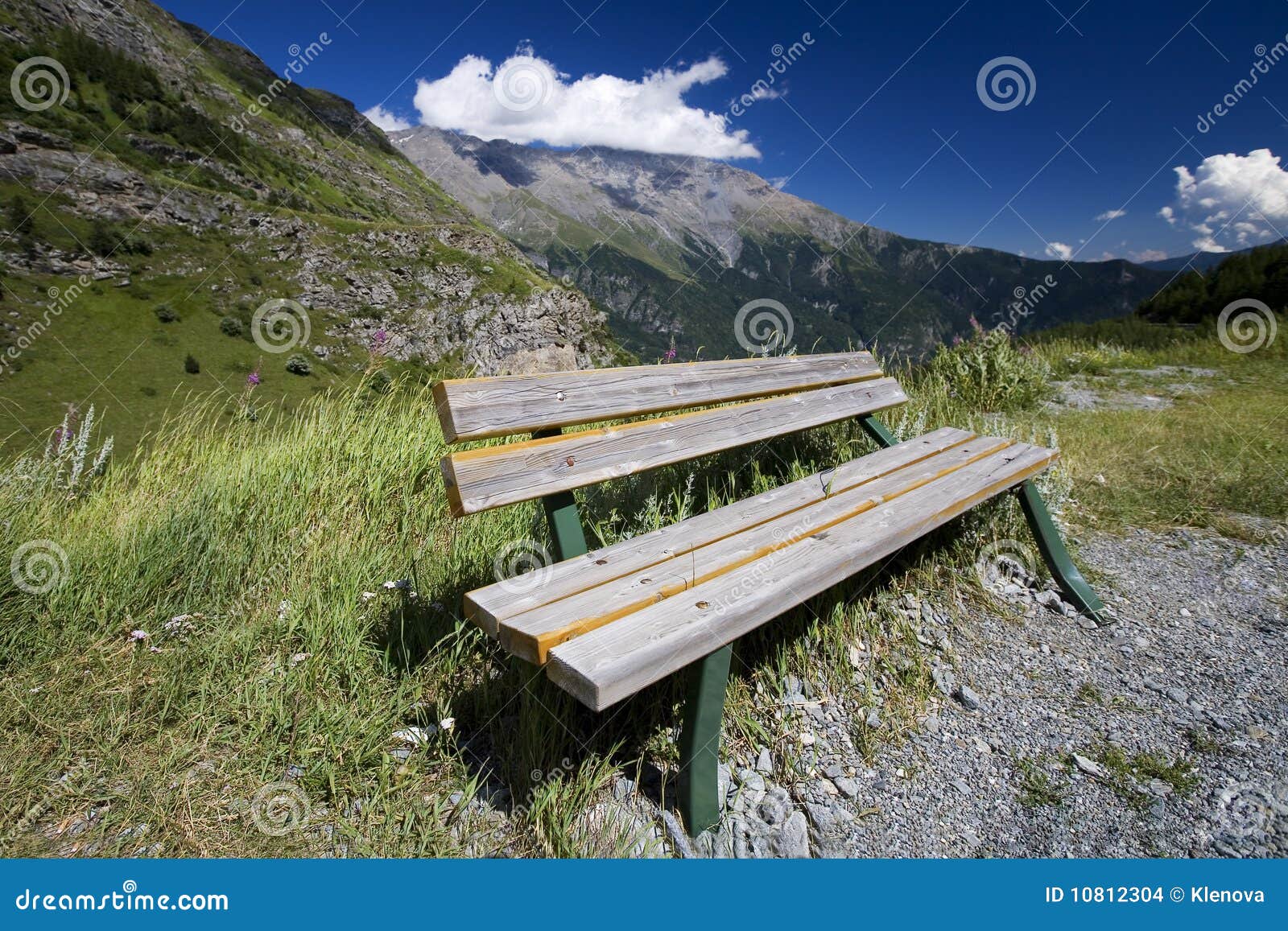 Bench on a hiking trail stock photo. Image of canada - 10812304
