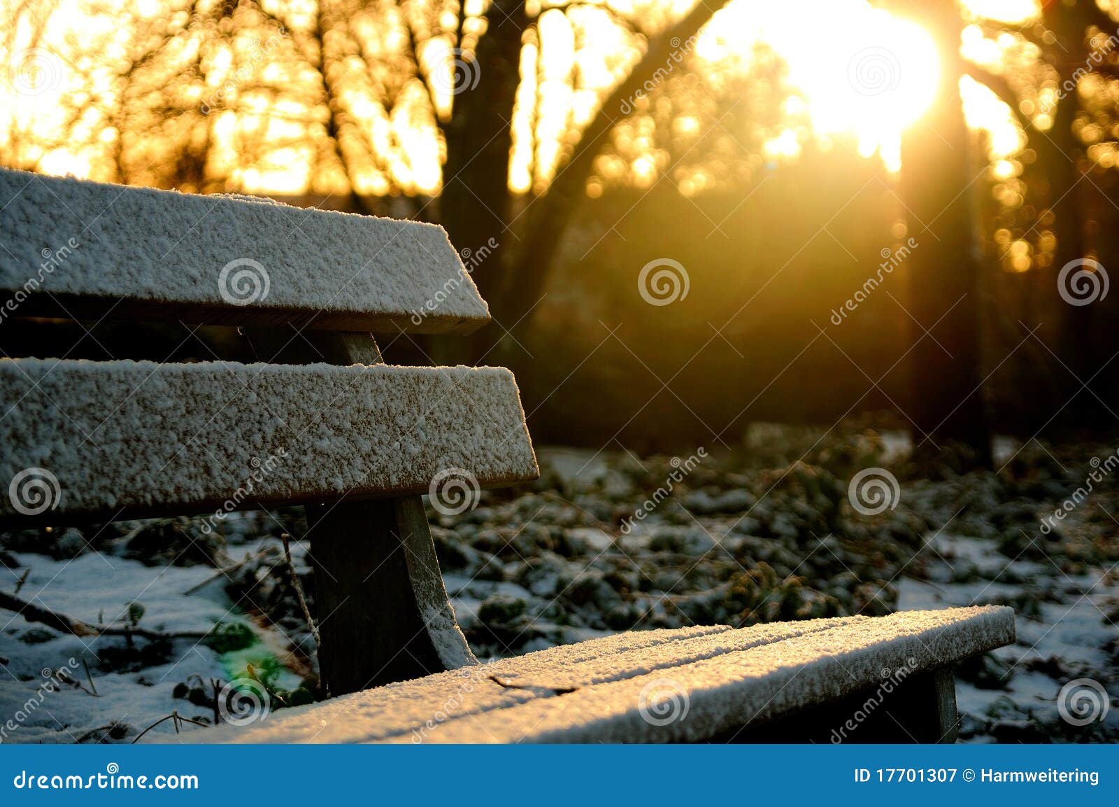 Bench of inspiration stock image. Image of bench, silhoutte - 17701307