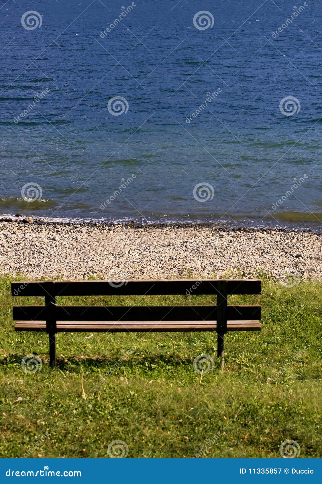 Bench at the lake stock image. Image of beach, rest, grass - 11335857