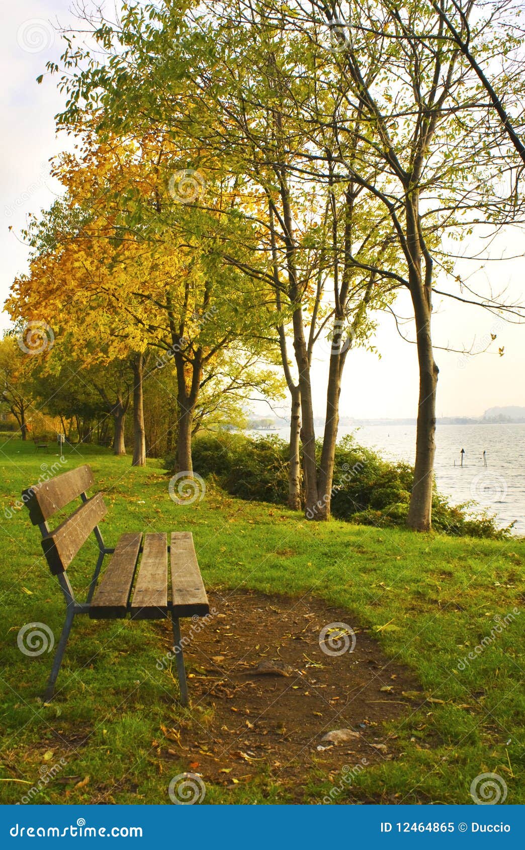 Bench by the lake stock image. Image of outdoor, green - 12464865