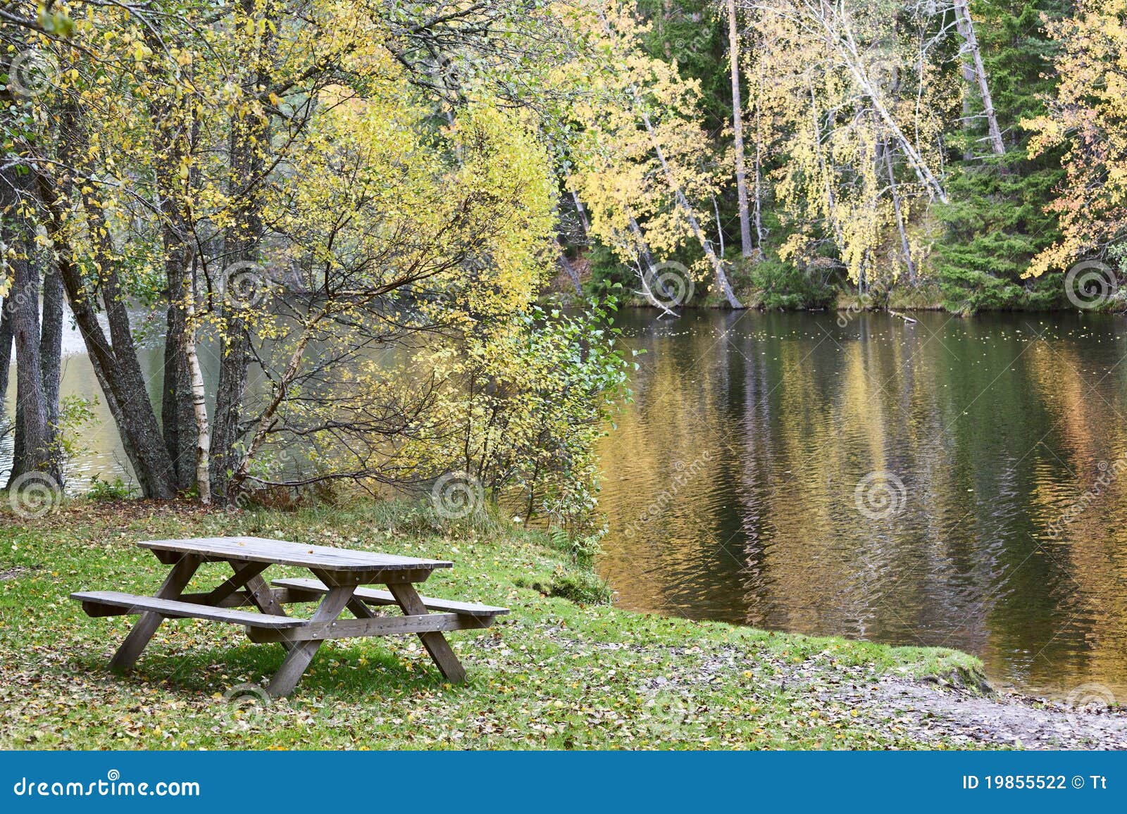 Bench at the lake stock photo. Image of landscape, outdoors - 19855522