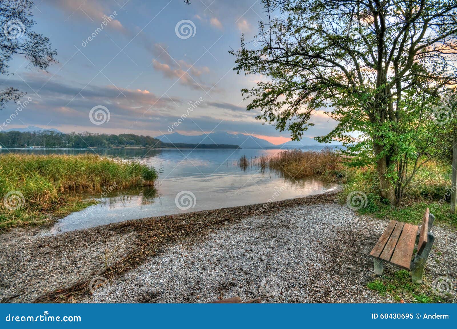 Bench at the lake stock image. Image of scene, autumn - 60430695