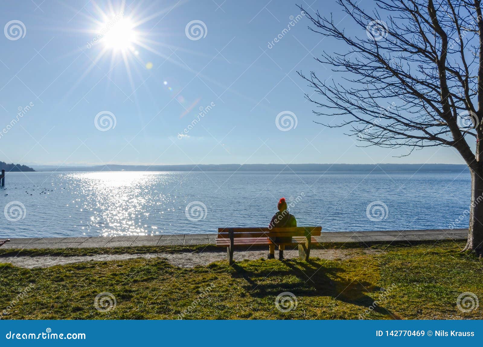 Bench at lake 2 stock image. Image of thinking, grass - 142770469