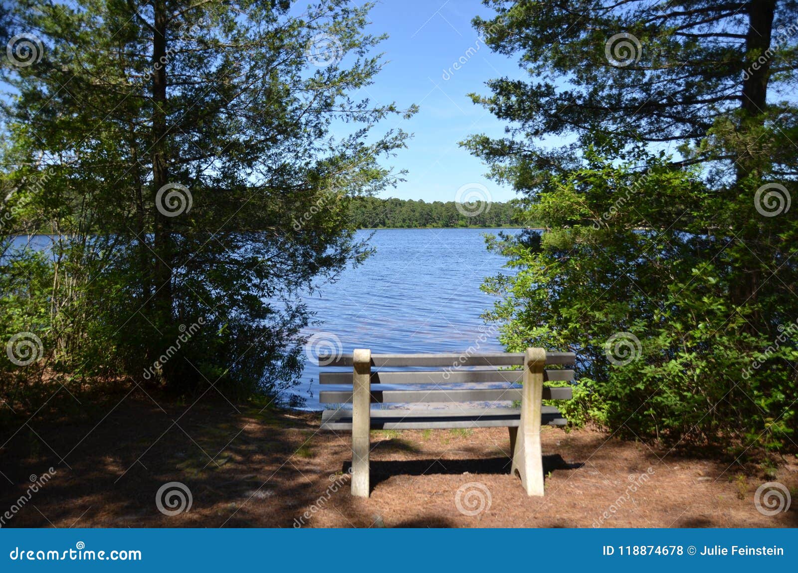 Secluded Bench Overlooking A Large Wetland Marsh Royalty-Free Stock ...