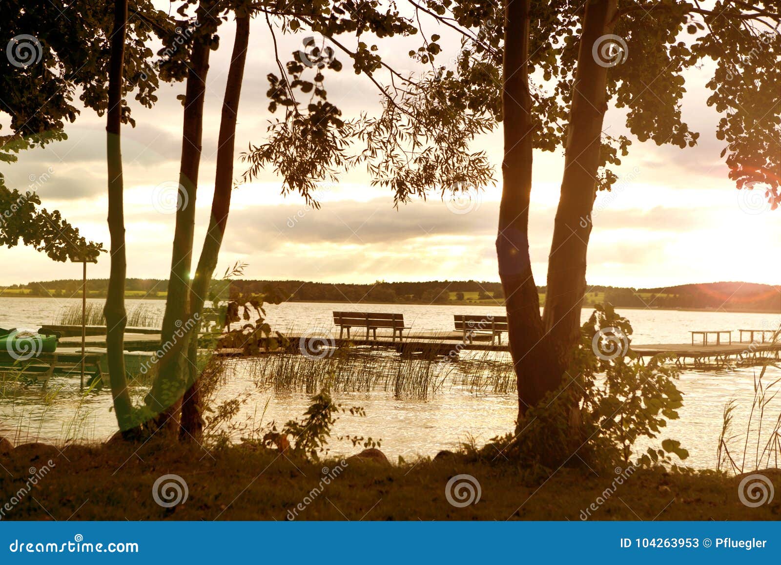 Bench at the lake stock image. Image of autumn, summer - 104263953