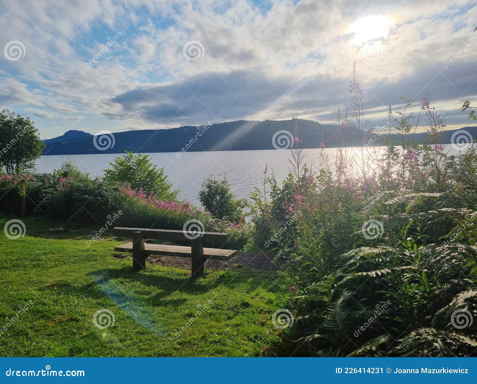Bench and lake view stock image. Image of loch, plant - 226414231