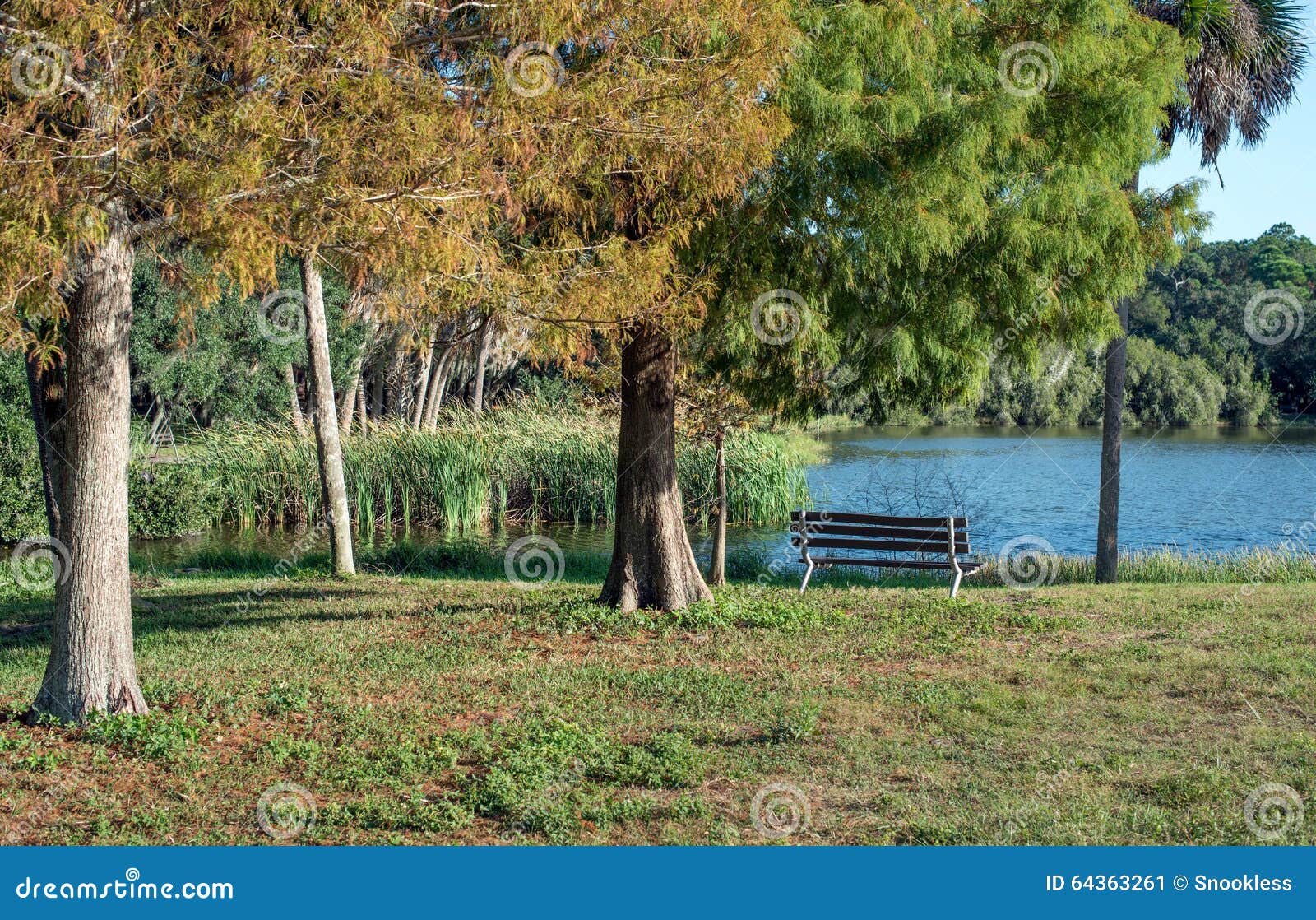 Bench by lakeside stock image. Image of scenic, outdoors - 64363261