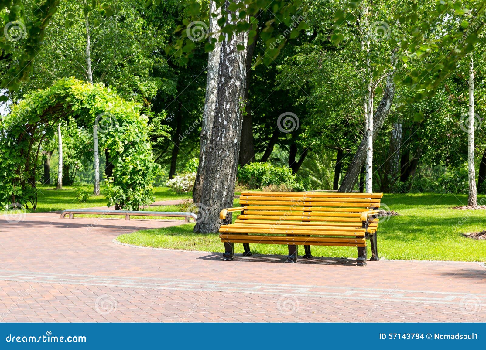 Bench in the local park stock photo. Image of plant, pave - 57143784